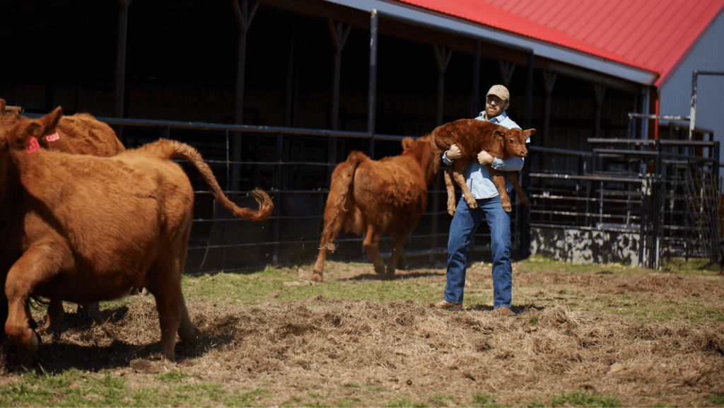 Issues - U.S. Senator Markwayne Mullin of Oklahoma
